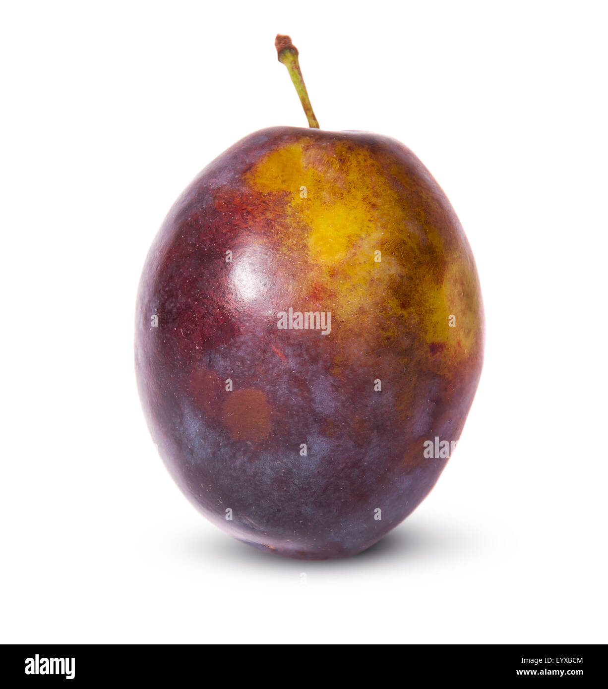 Single violet plum isolated on white background Stock Photo - Alamy