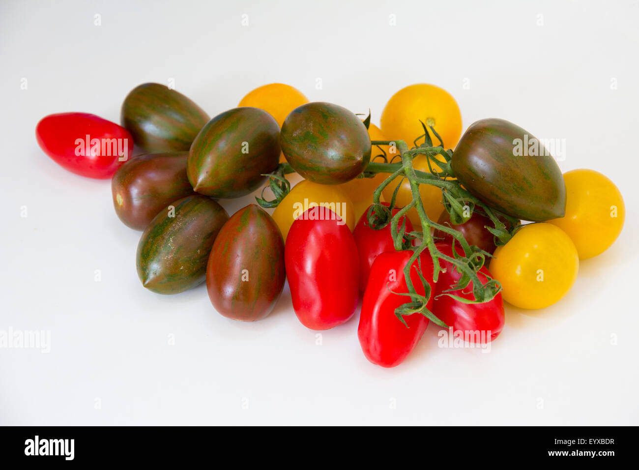 A variety of multi-coloured tomatoes on a white background Stock Photo ...