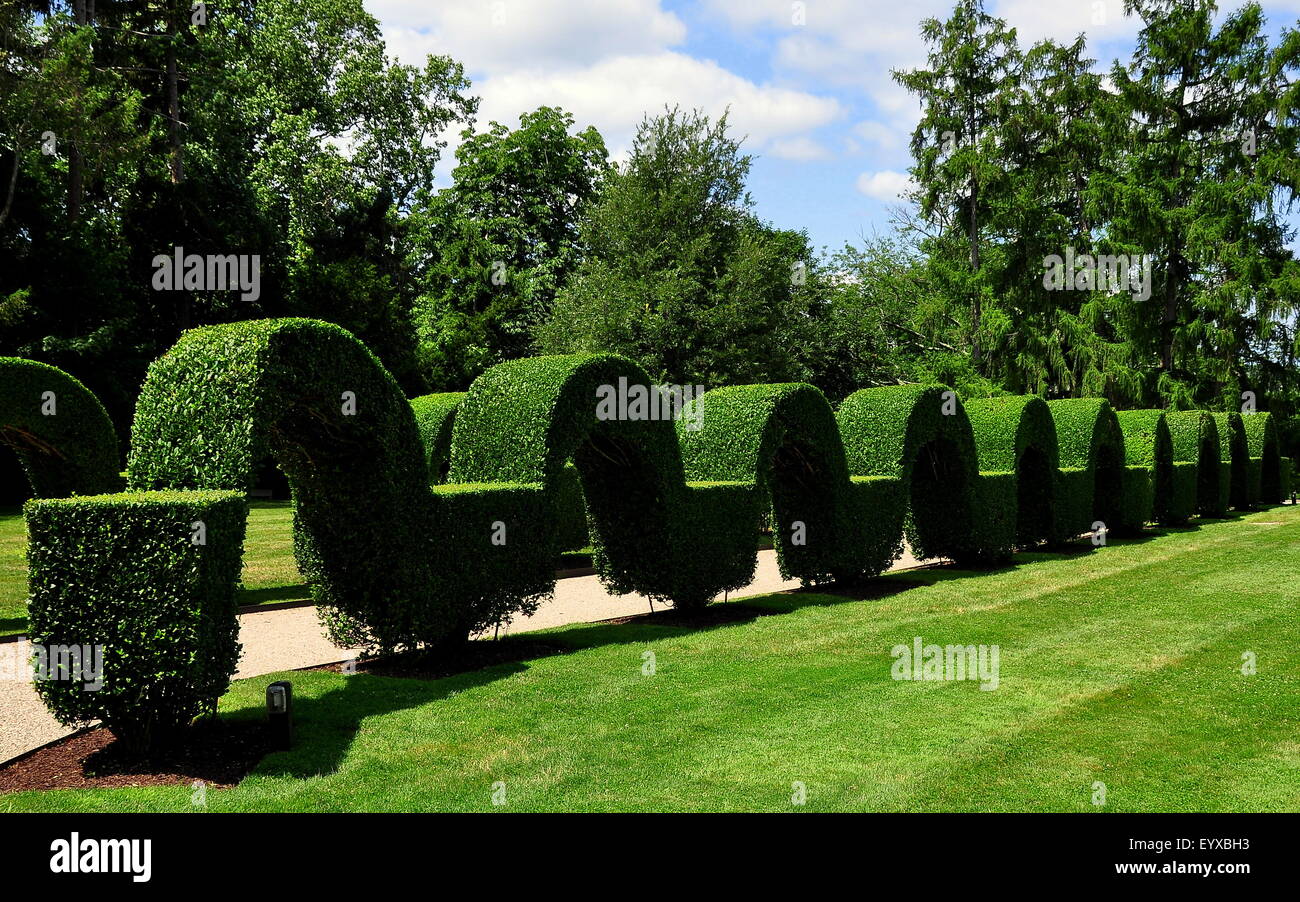 Portsmouth, Rhode Island: Unique clipped privet topiary arched hedge at ...