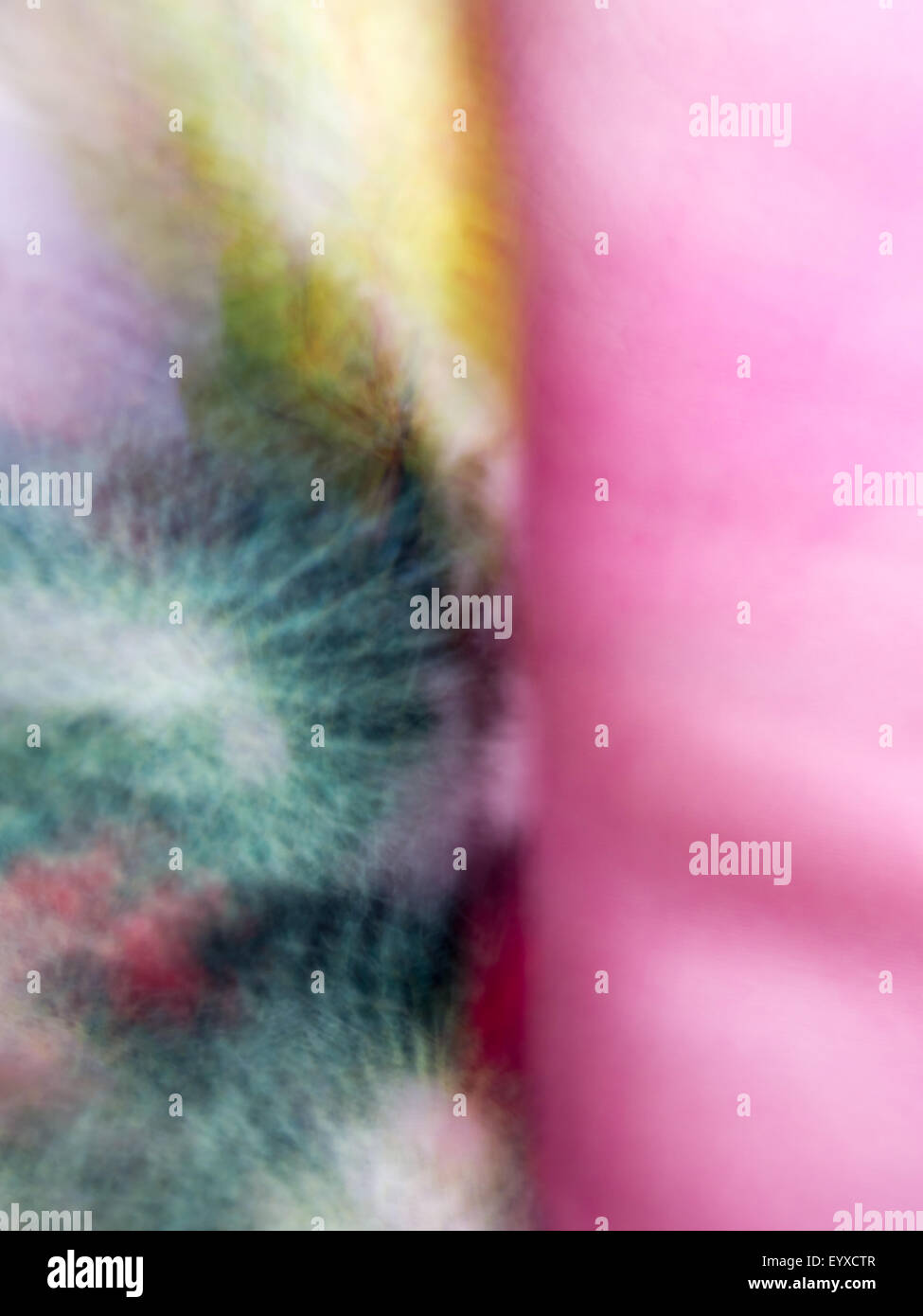 The blur Abstract picture Stock Photo - Alamy