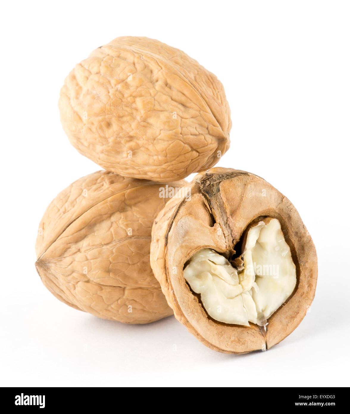 Walnut on white hi-res stock photography and images - Alamy