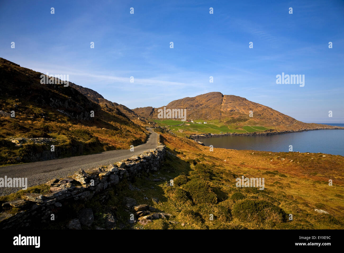 Cod's Head, Beara Peninsula, County Cork, Ireland Stock Photo - Alamy