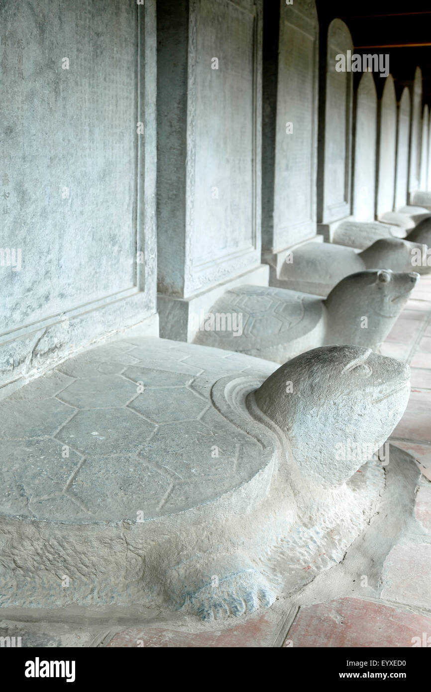 Doctors stelae hi-res stock photography and images - Alamy