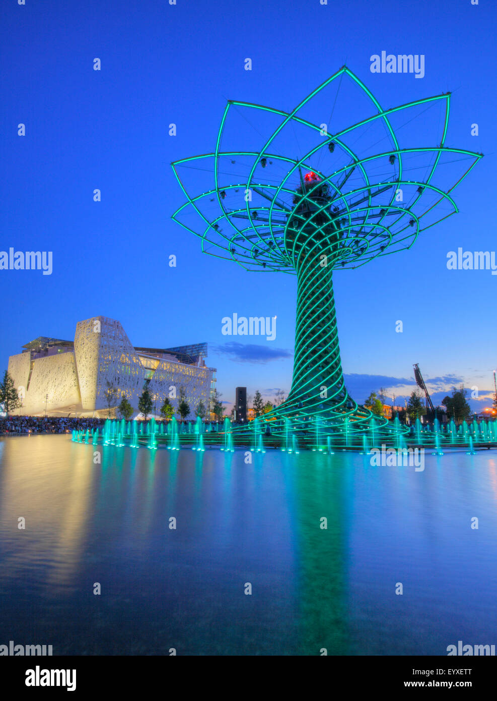 Tree of life hi-res stock photography and images - Alamy