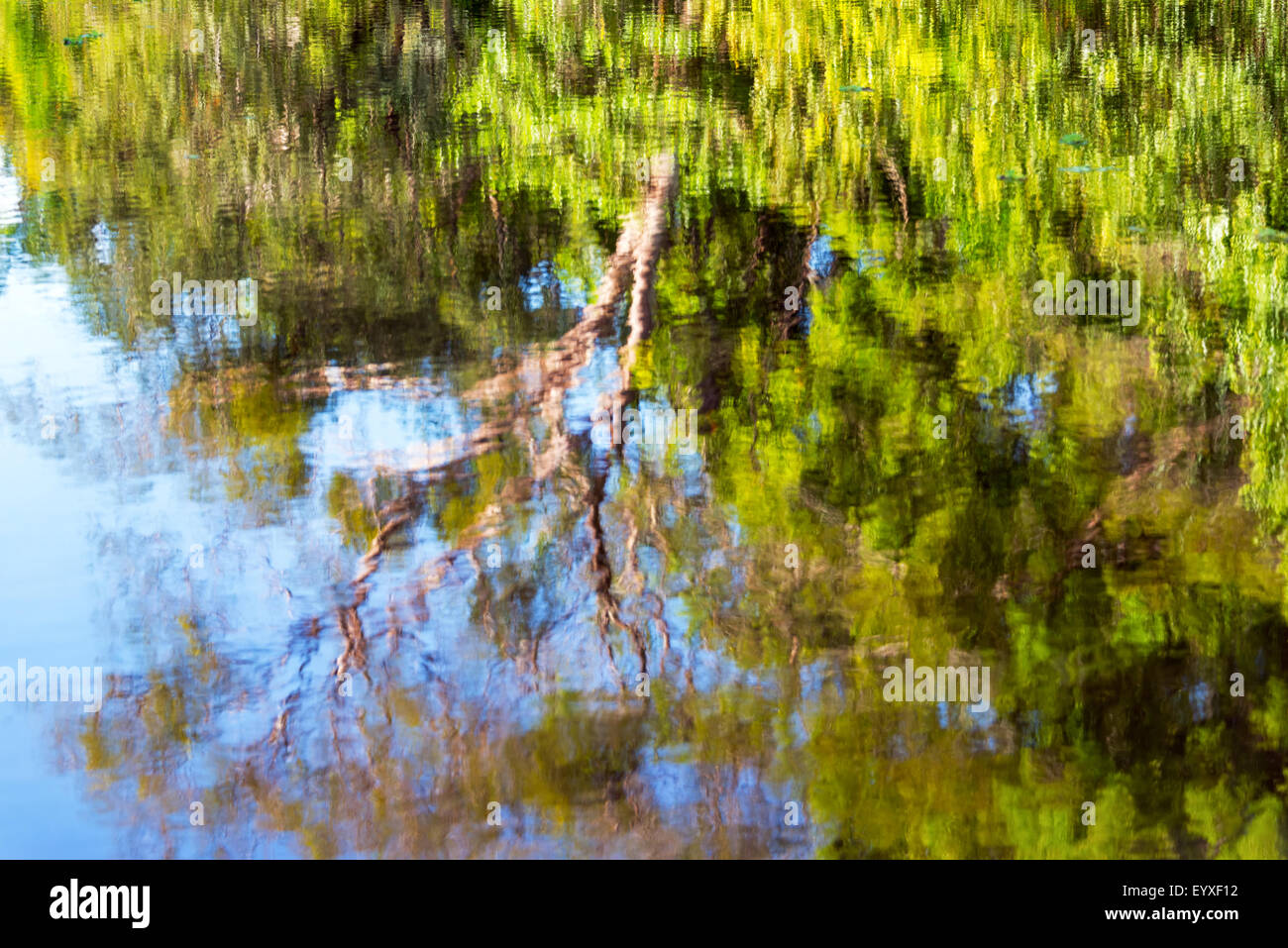 Reflection distorted hi-res stock photography and images - Alamy