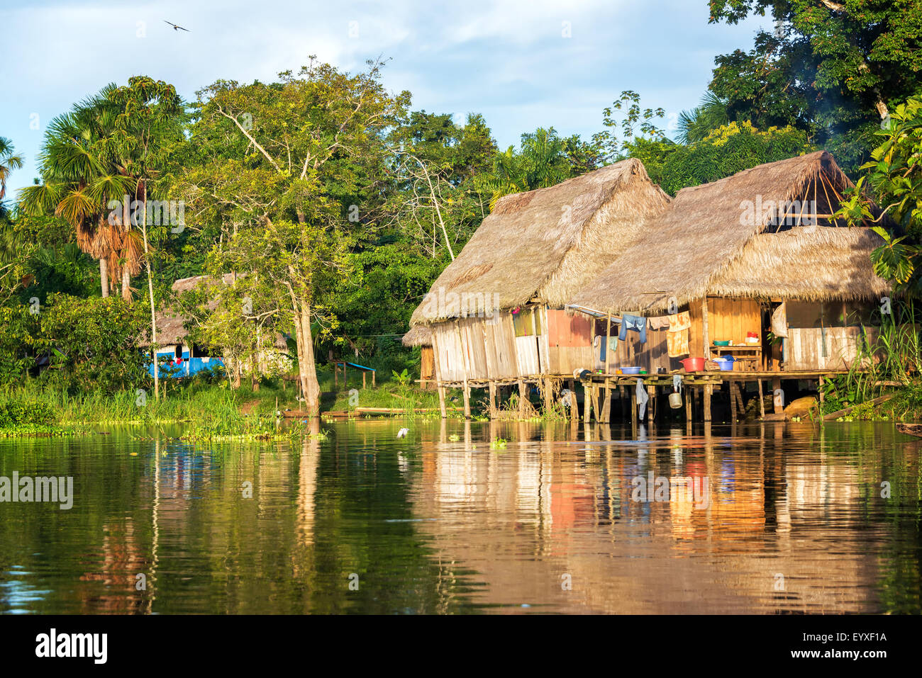 Late afternoon view of a shack on stilts in the Amazon rain forest with ...