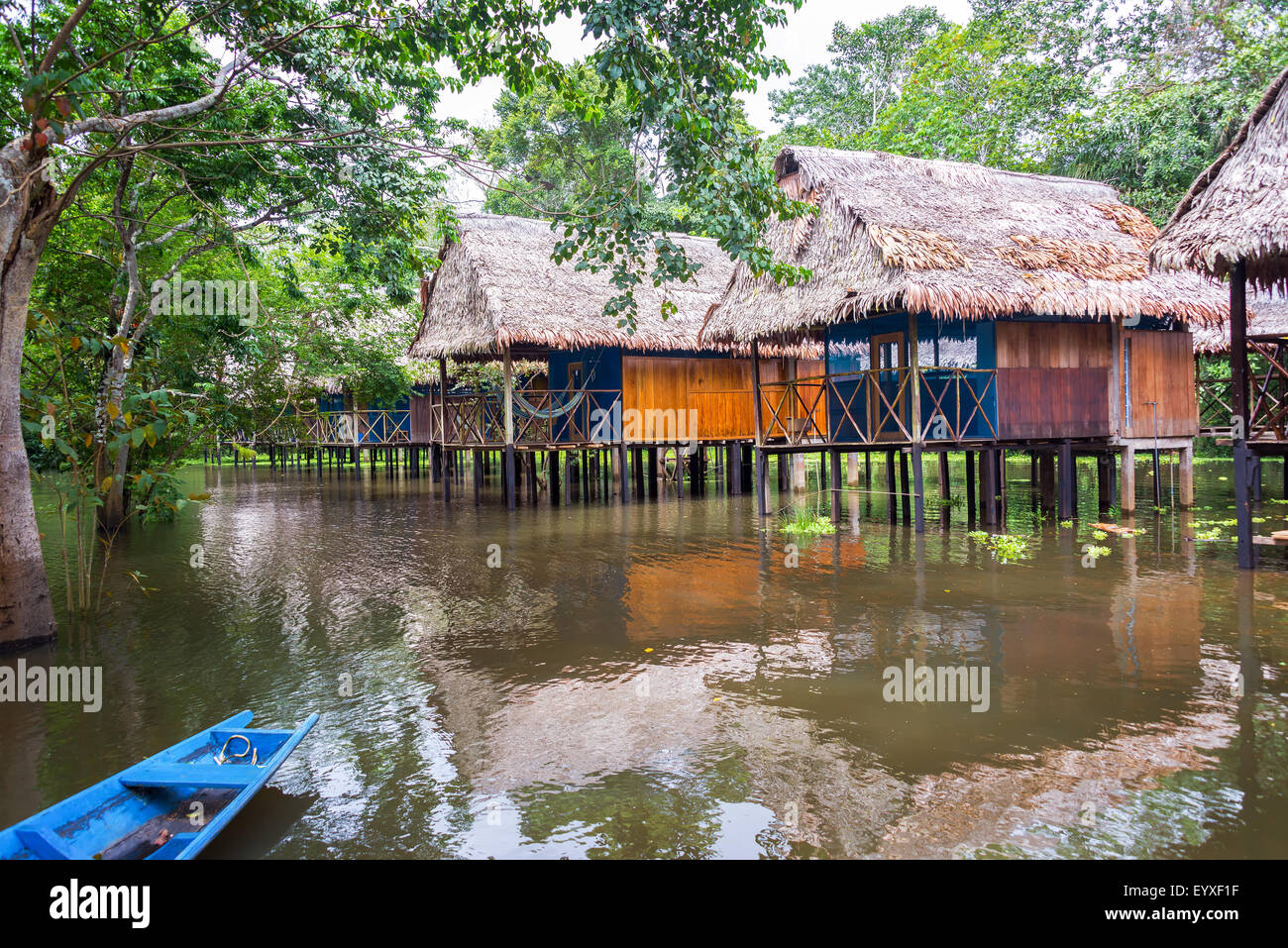 Bungalows in the Amazon rain forest in a flooded area on stilts near ...