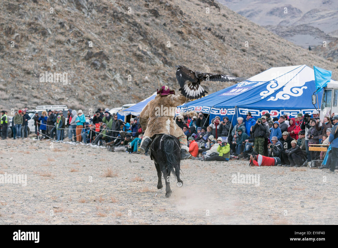 Eagle Festival, Olgii, Western Mongolia Stock Photo - Alamy