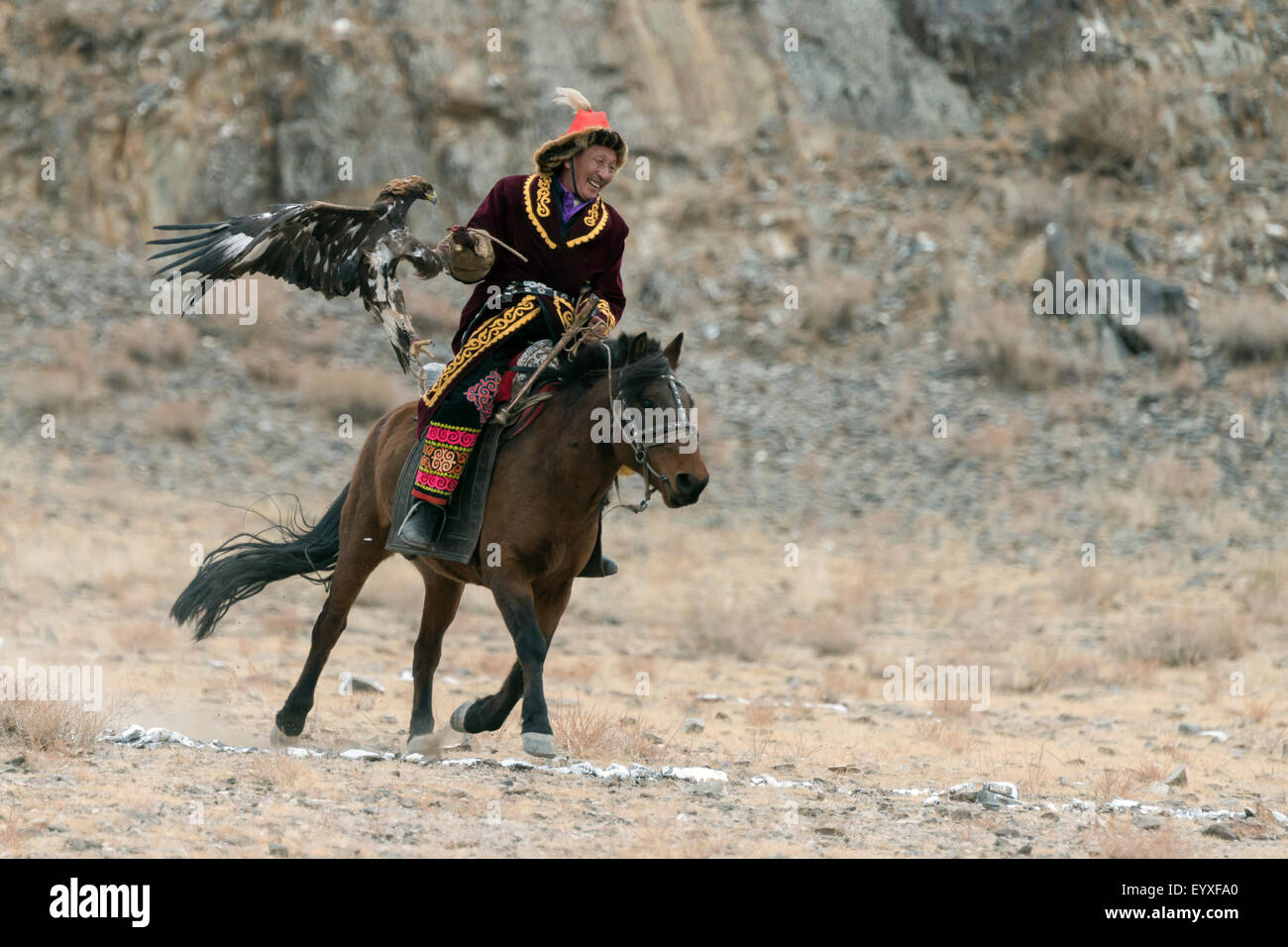 Eagle with one claw in lure hi-res stock photography and images - Alamy