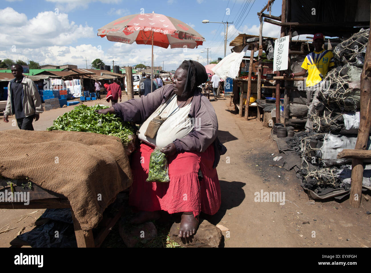 Morbidly obese woman hi-res stock photography and images - Alamy