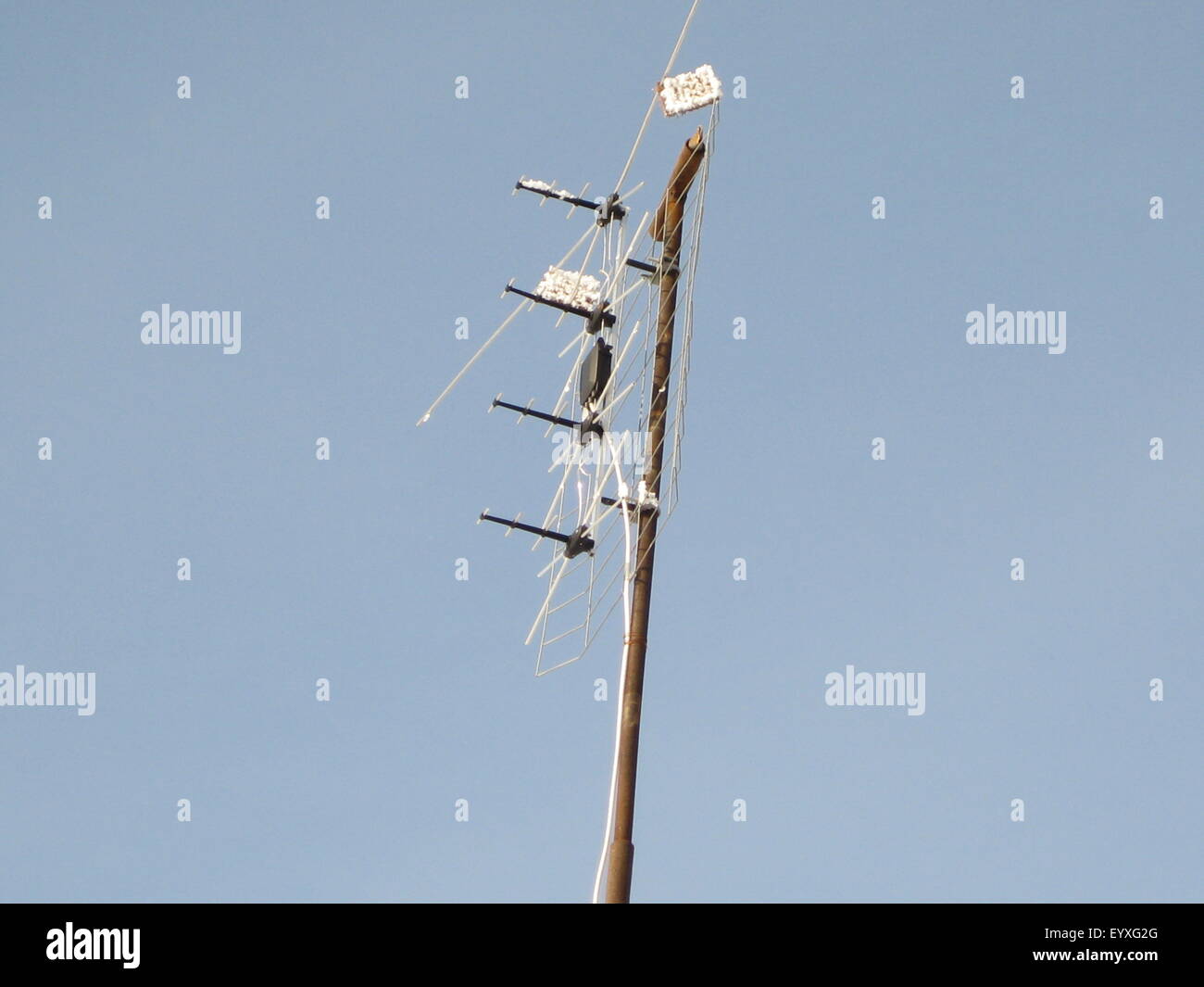 Television antenna. Means of reception of a signal Stock Photo - Alamy