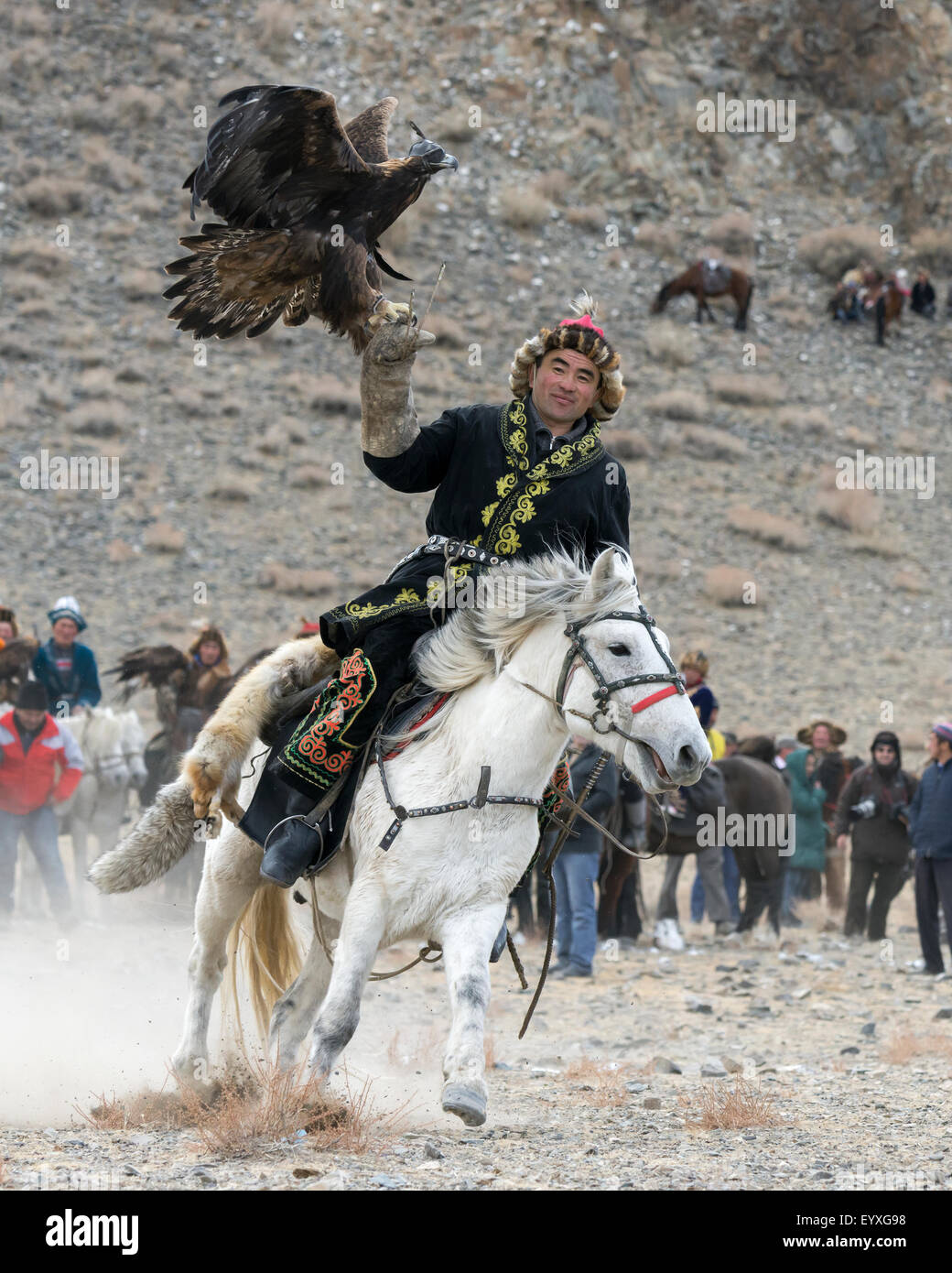 Competitor riding fast with golden eagle and fox skin, Eagle Festival ...