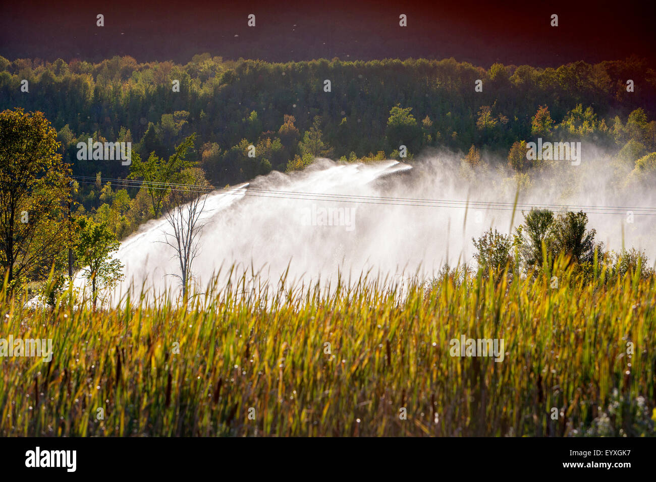 Irrigation agricultural water irrigation hi-res stock photography and images - Alamy