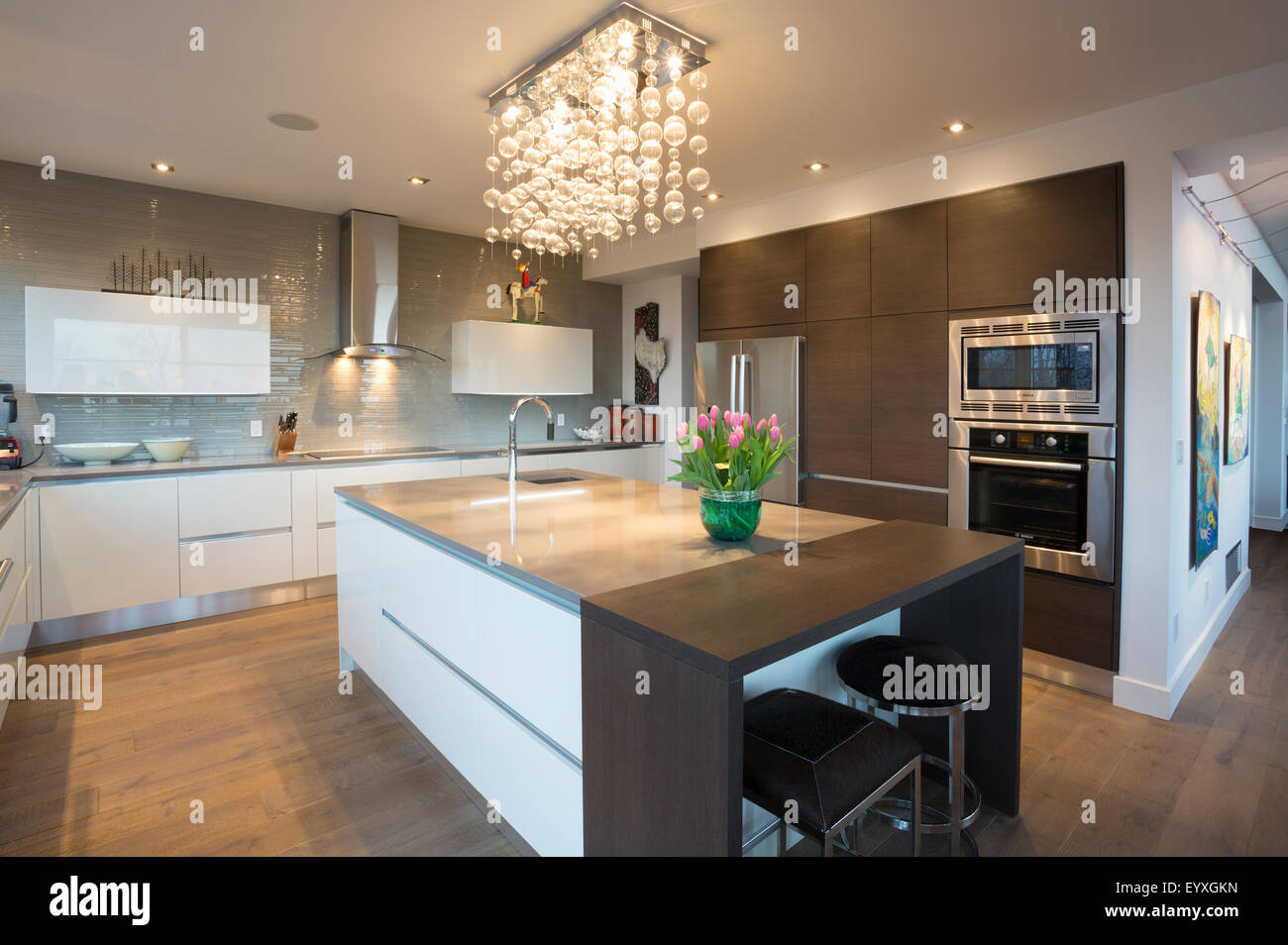 North America, Canada, Ontario, modern kitchen Stock Photo - Alamy