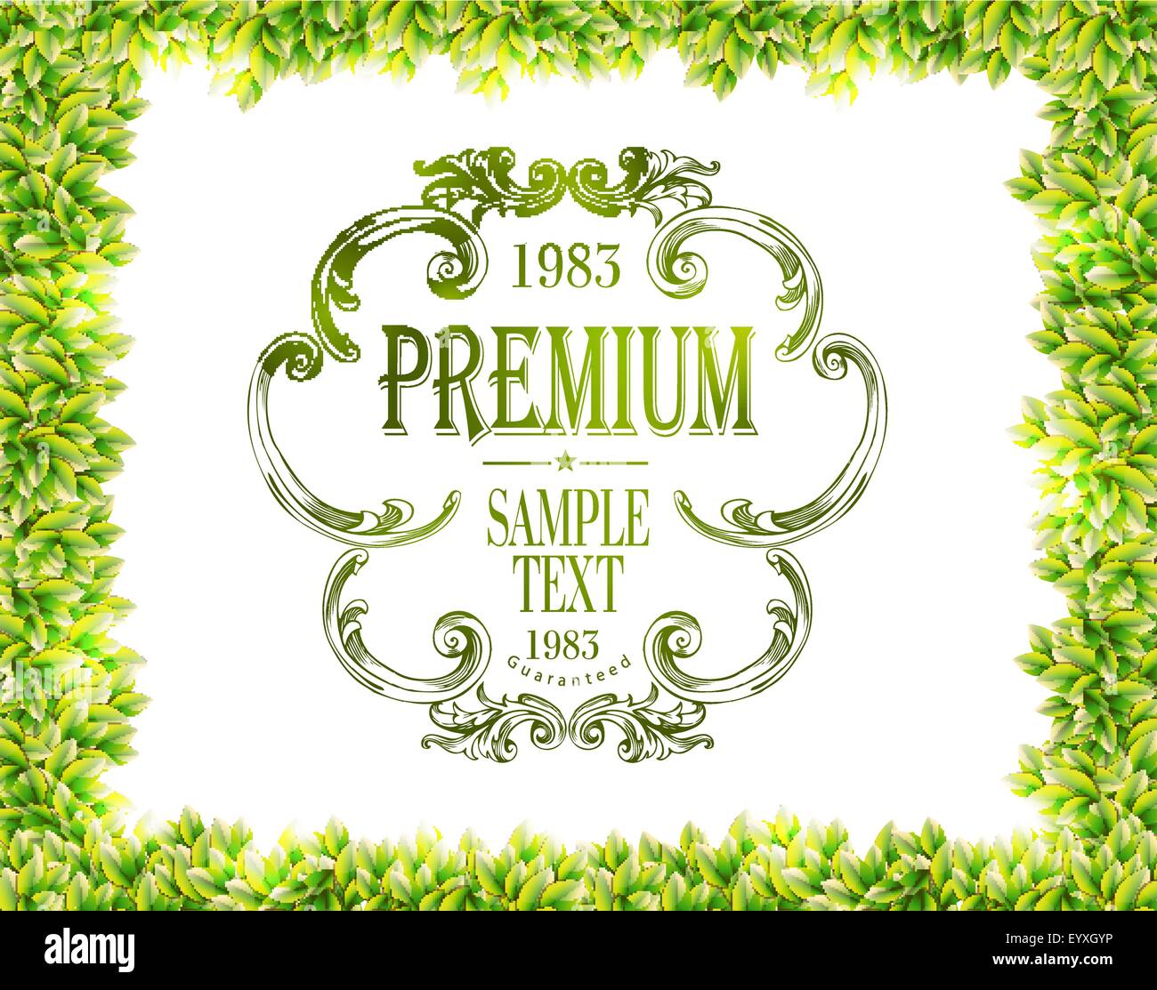 Green leaves texture and green typography Stock Vector Image & Art - Alamy