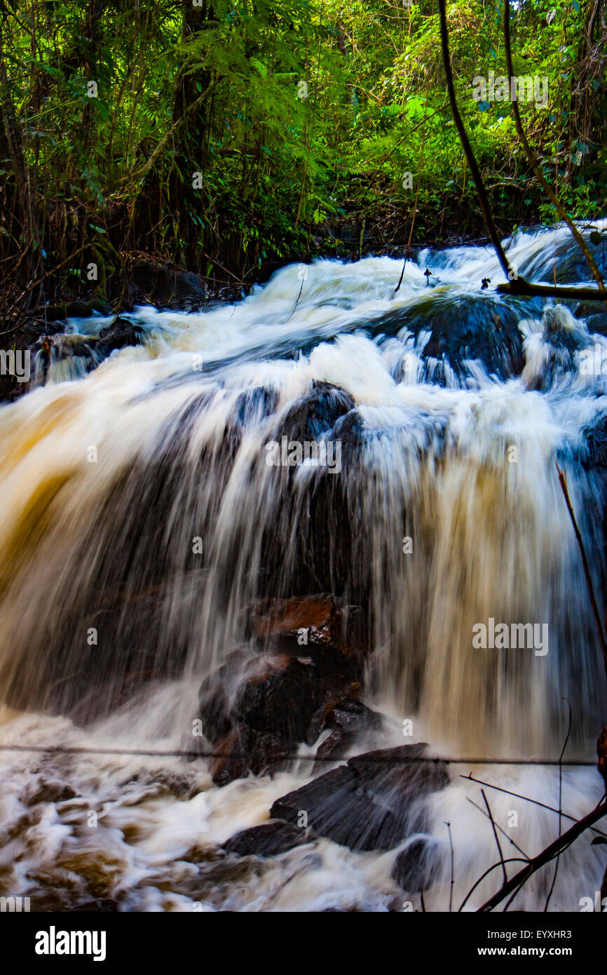 In the jungle of Surinam with the Raleigh falls Stock Photo - Alamy