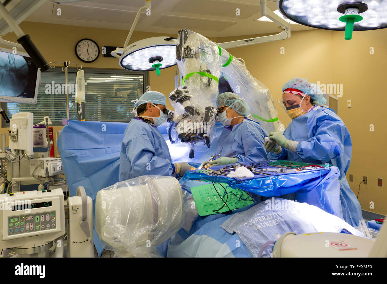 Englewood, Colorado - Dr. Paul Elliott (left) performs microscopic ...