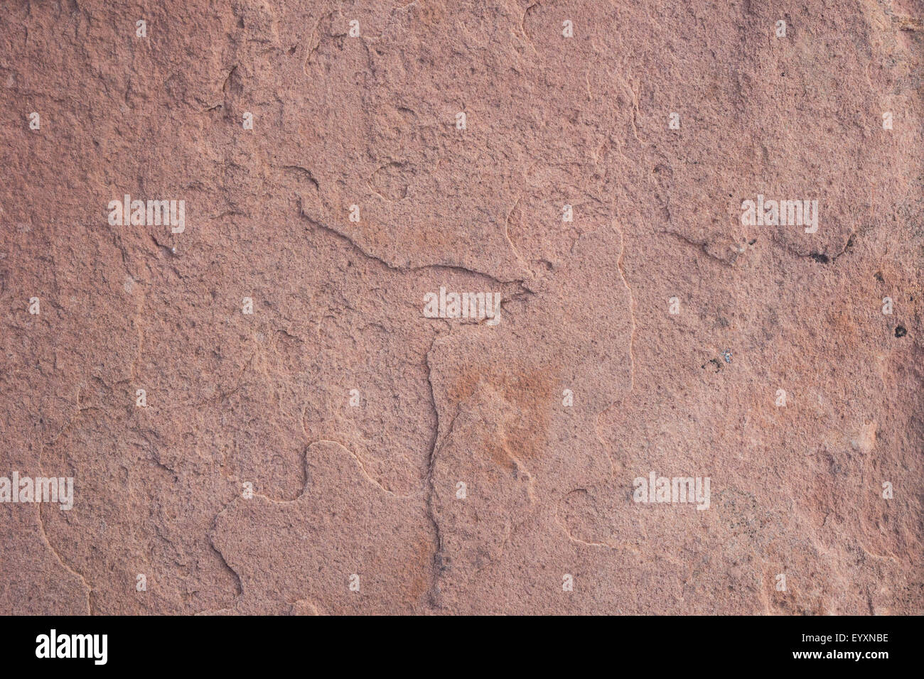 Texture of slick rock Stock Photo - Alamy