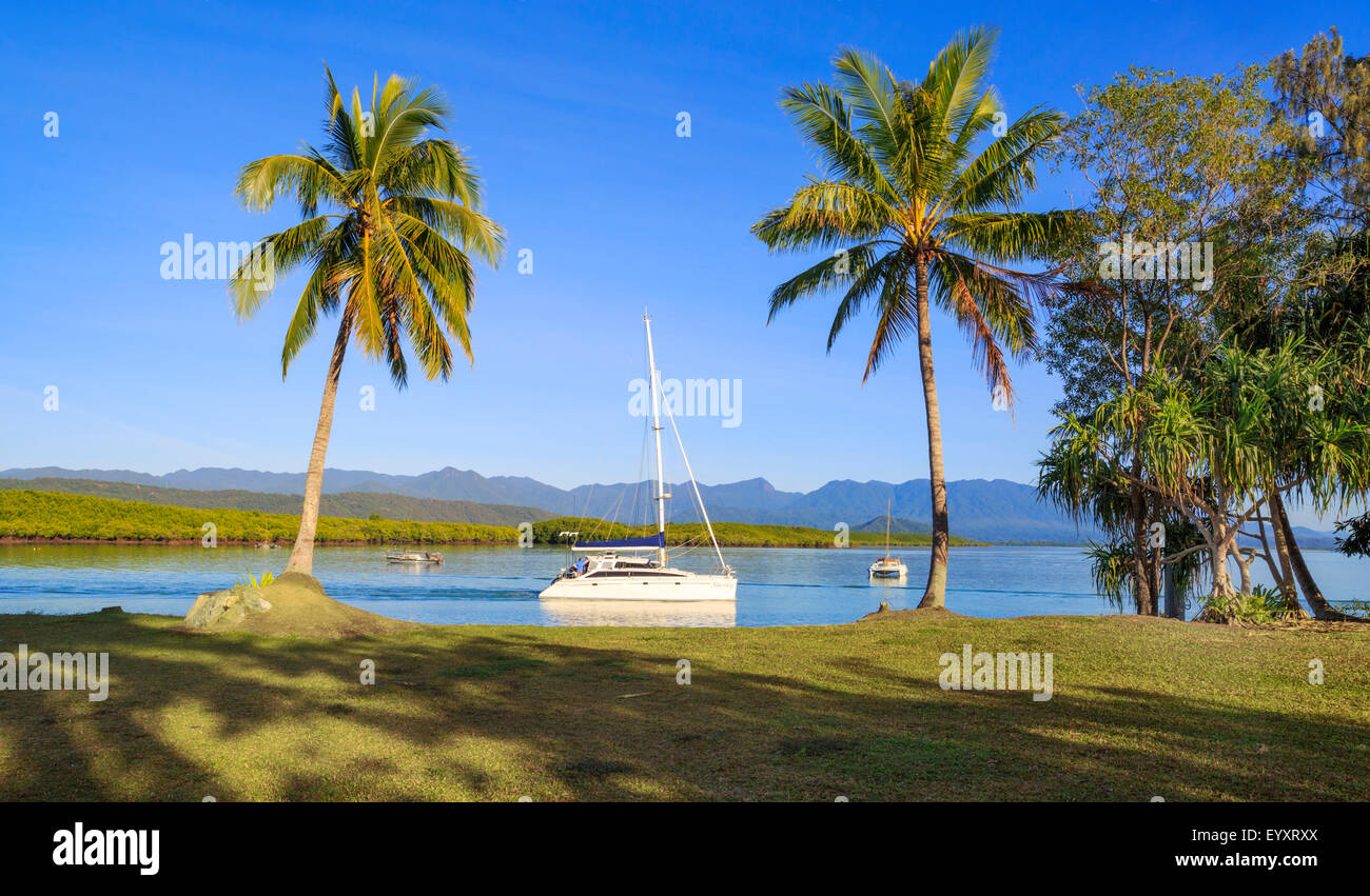 Palm trees in Rex Smeal Park with boats on Dickson Inlet. Port Douglas ...