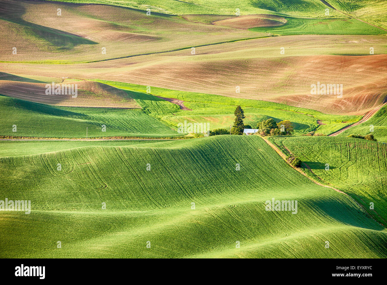 Palouse hills farmland hi-res stock photography and images - Alamy