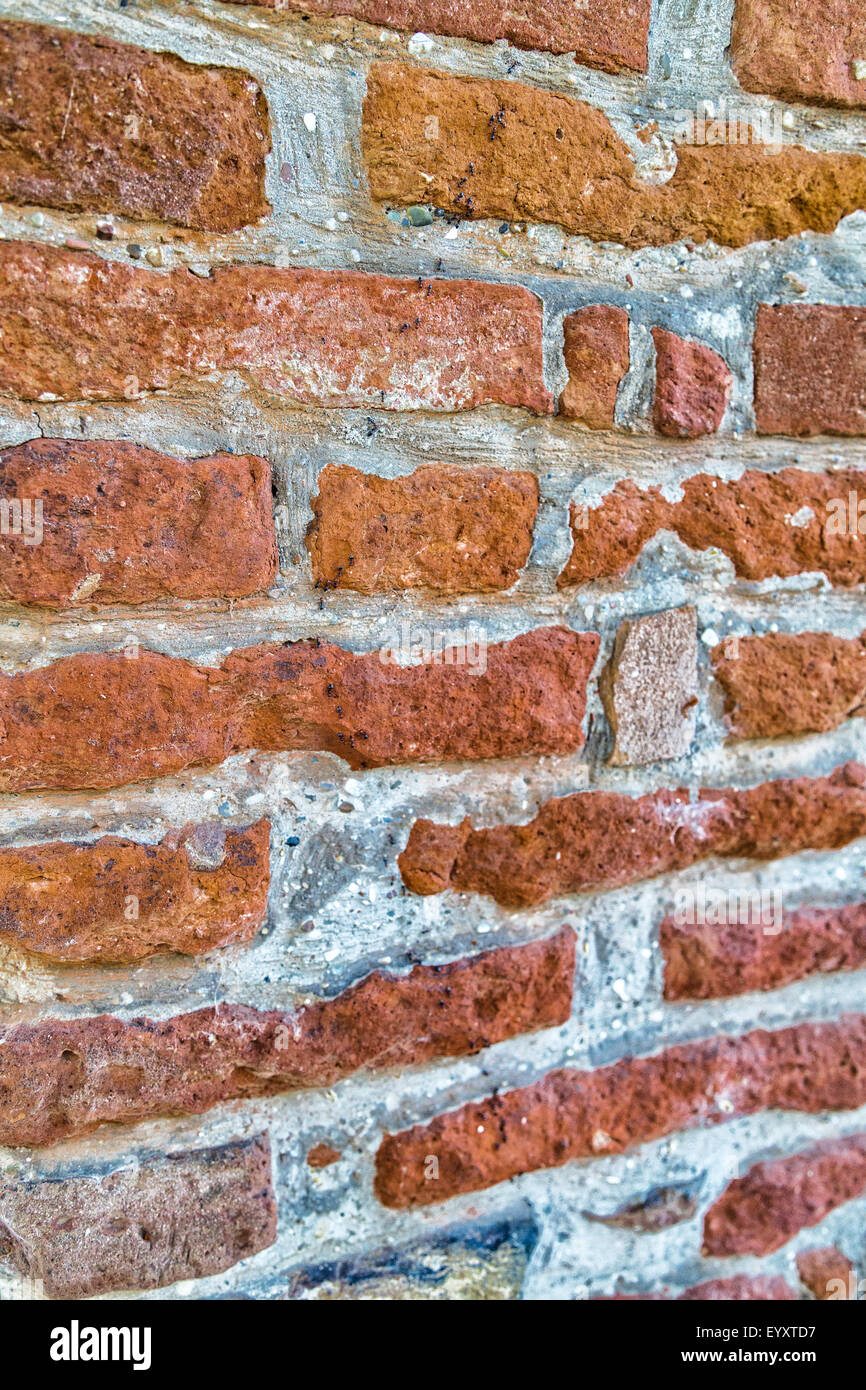 industrious ants forming a column on a brick wall Stock Photo - Alamy