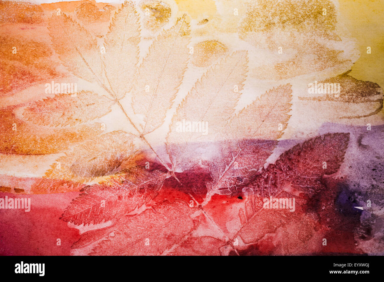 Abstract artistic watercolor background with autumn leaf prints on ...
