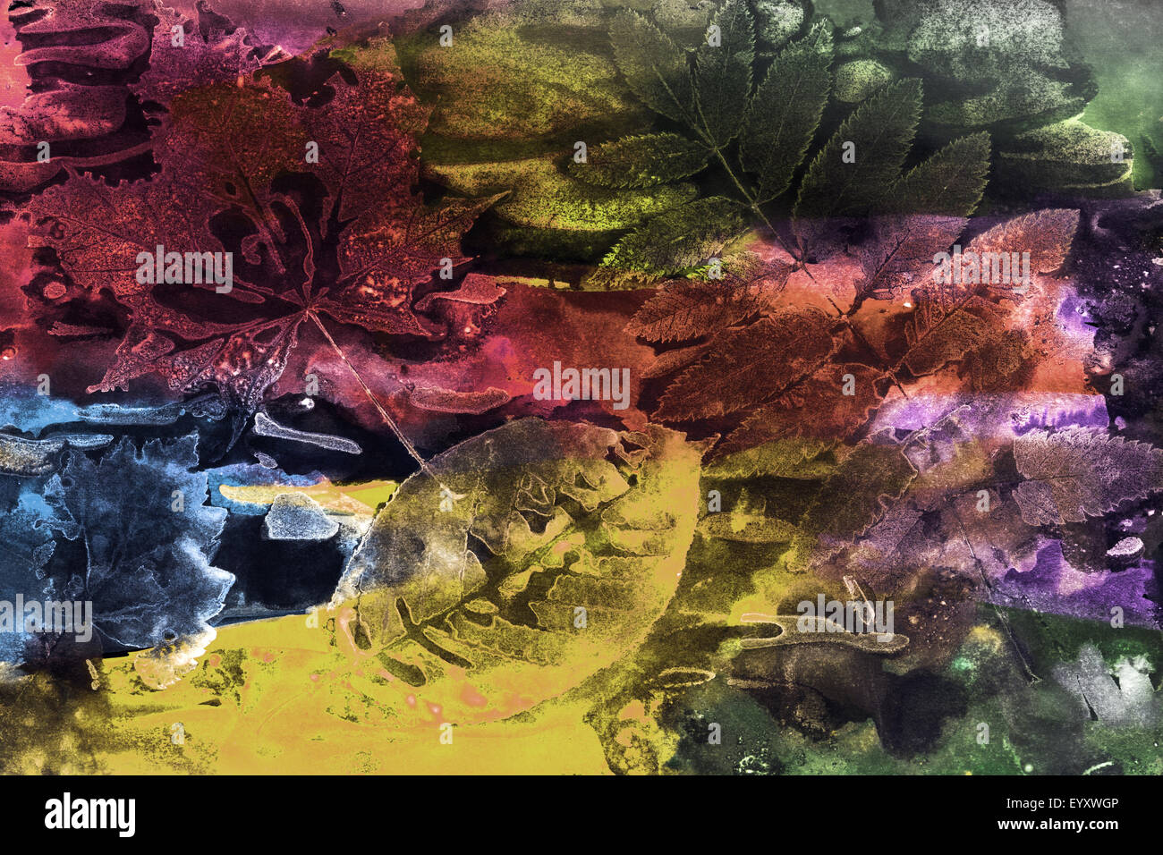 Abstract artistic watercolor background with autumn leaf prints on ...