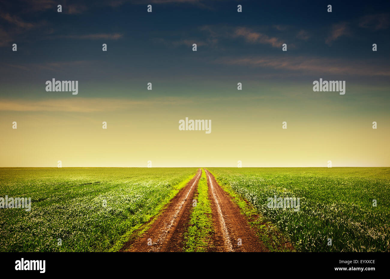 Road through fields wind hi-res stock photography and images - Alamy