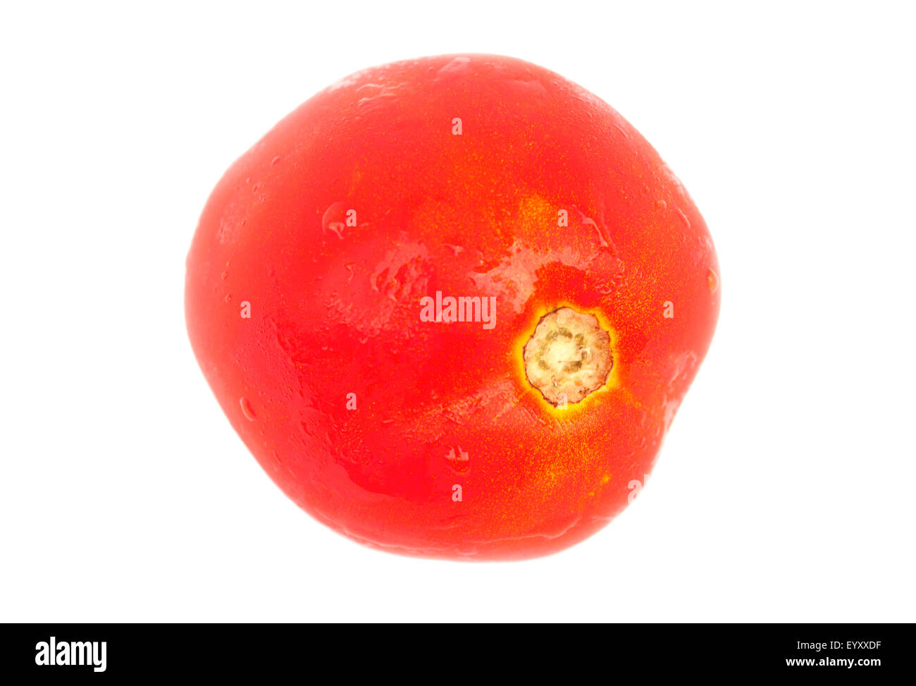 One fresh red tomato isolated on white background Stock Photo - Alamy