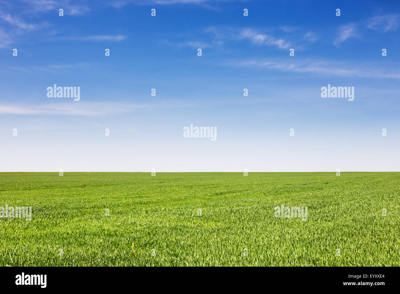 Natural sky green color hi-res stock photography and images - Alamy