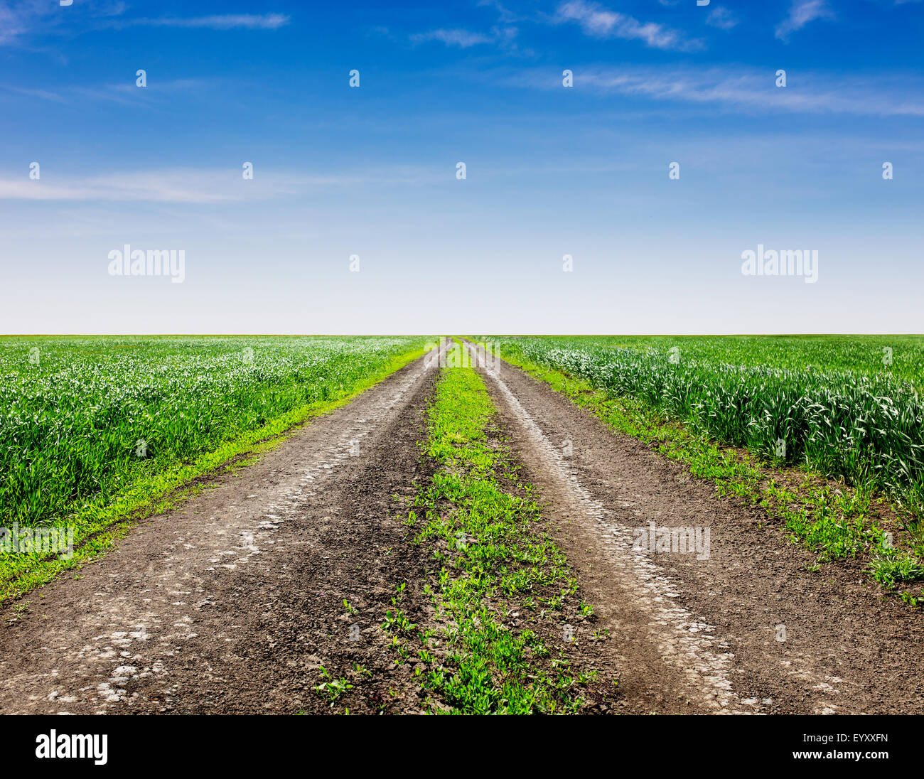 Country road through grass hi-res stock photography and images - Alamy