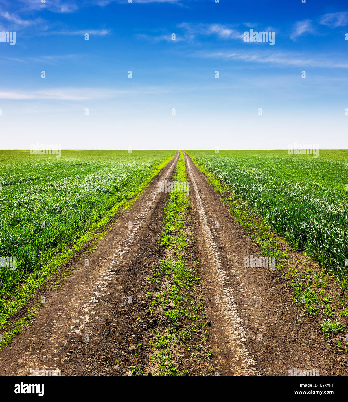 Dirt road through wheat field hi-res stock photography and images - Alamy