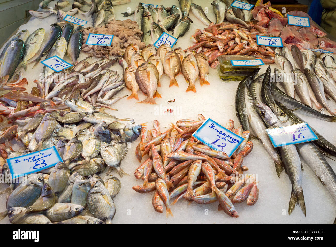Different kinds of fresh fish at a fishmarket Stock Photo - Alamy