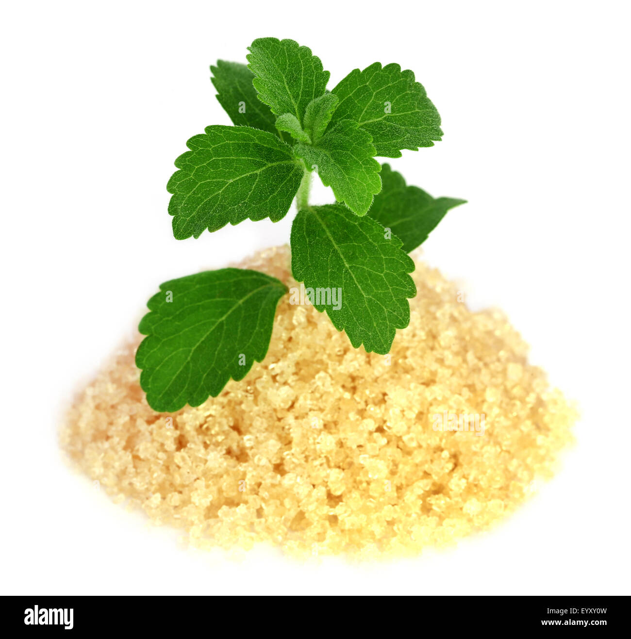 Coarse crystals of brown sugar with stevia leaves over white background ...