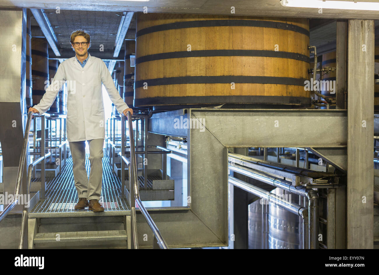 Portrait confident vintner in lab coat on platform in winery cellar ...