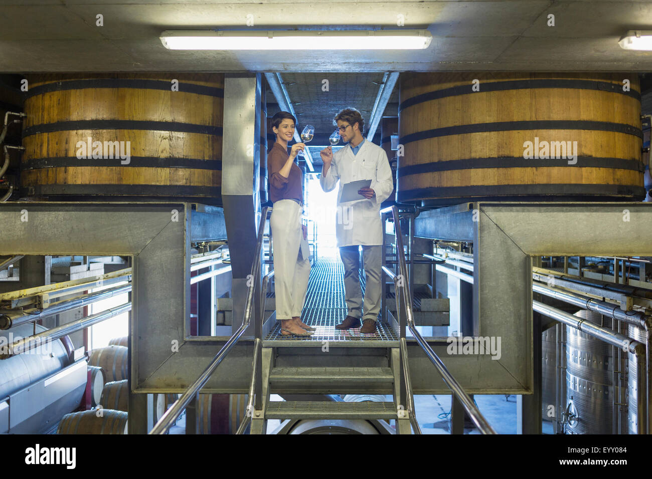 Vintners examining wine on platform in winery cellar Stock Photo - Alamy