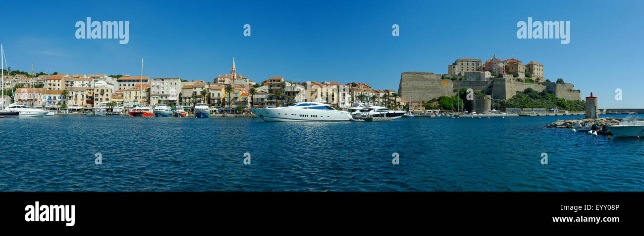 Historic centre with the port of Calvi, Haute-Corse, Corsica, France ...