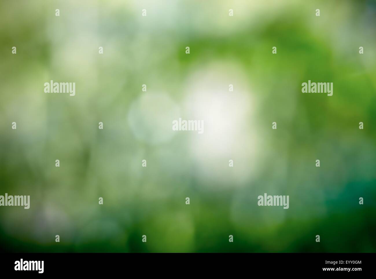 Blurred green background with summer feeling Stock Photo - Alamy