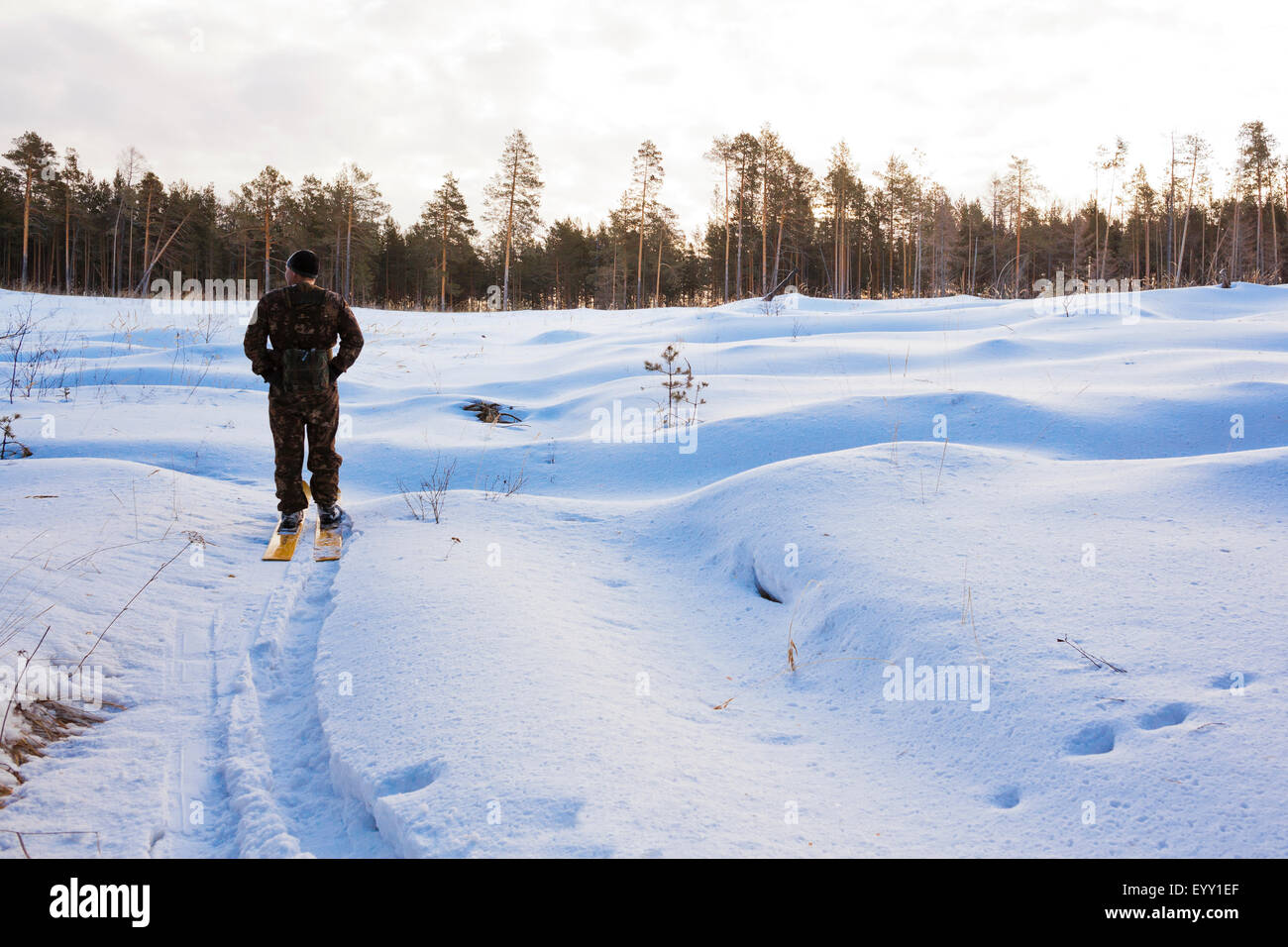 Caucasian man cross country skiing in snowy field Stock Photo - Alamy