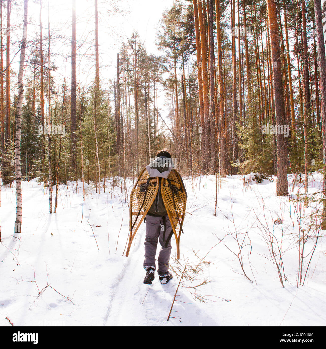 Mari man carrying snowshoes in snowy forest Stock Photo - Alamy