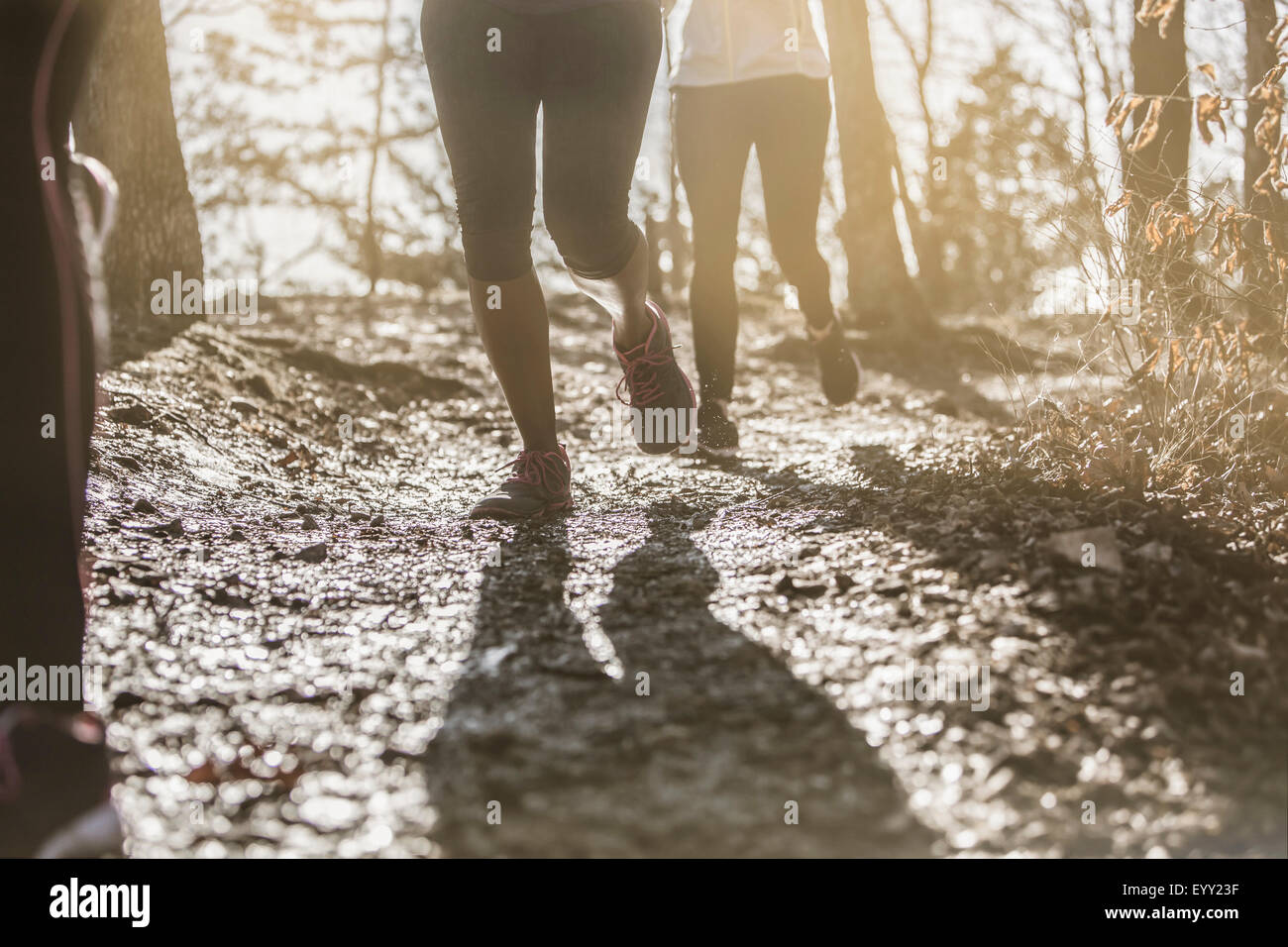 Runners jogging on dirt path Stock Photo - Alamy