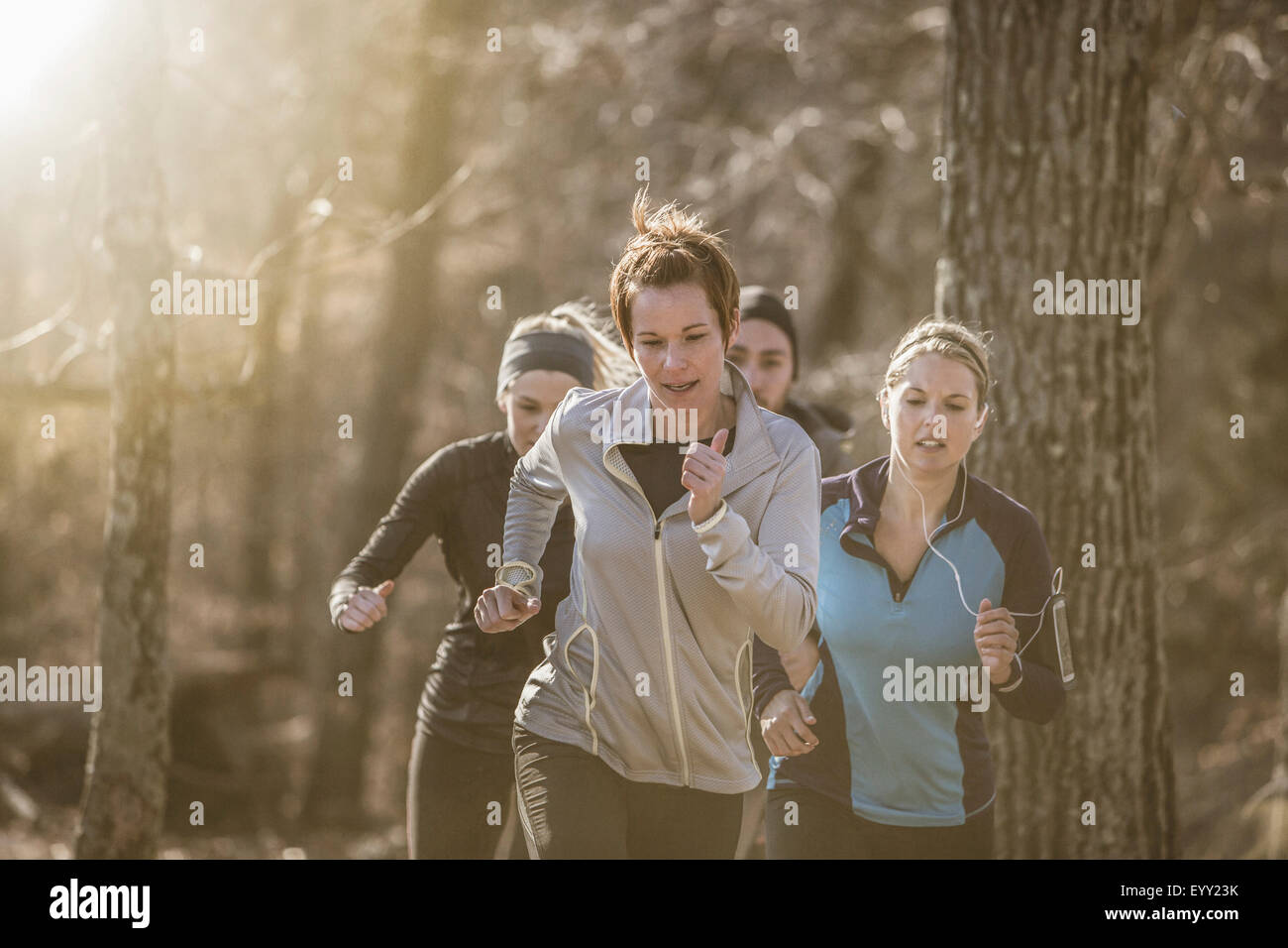 Runner on forest path hi-res stock photography and images - Alamy