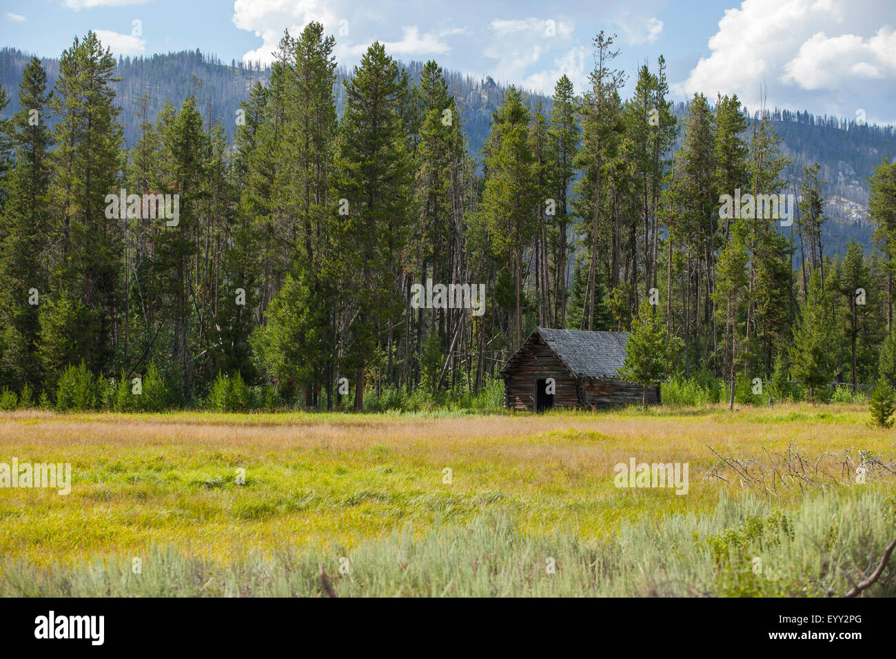 Abandoned rustic cabin in remote field Stock Photo - Alamy