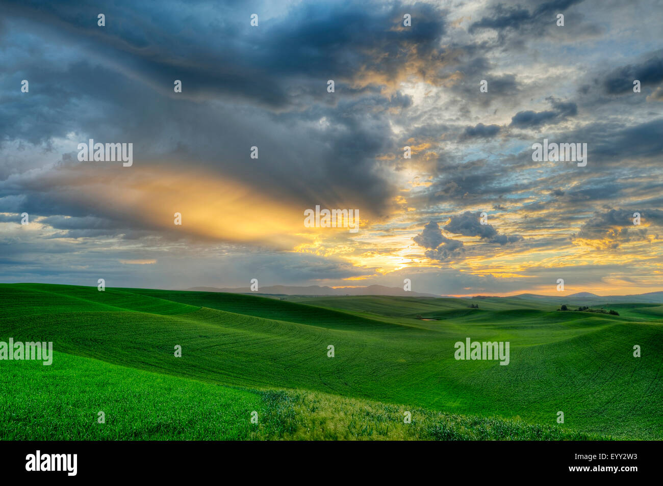 Dramatic sky over rolling hills in rural landscape Stock Photo - Alamy
