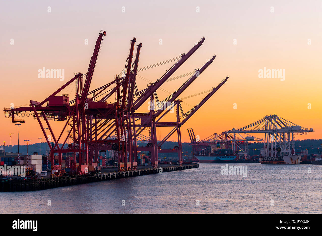 Container cranes in industrial shipyard at sunrise Stock Photo - Alamy