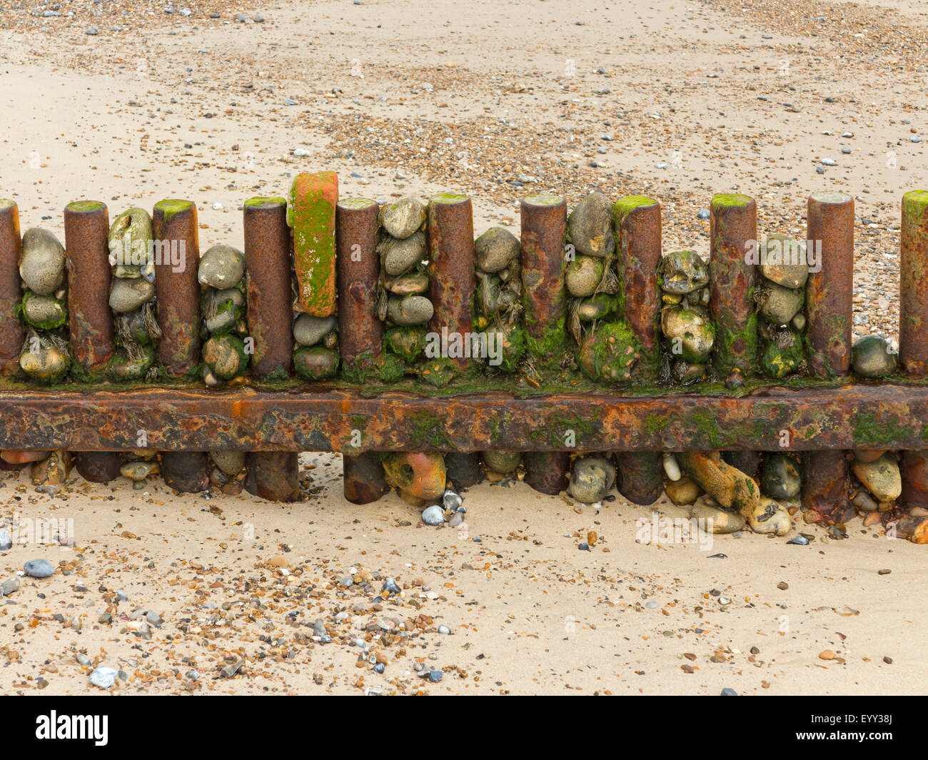 Timber Groin High Resolution Stock Photography and Images - Alamy