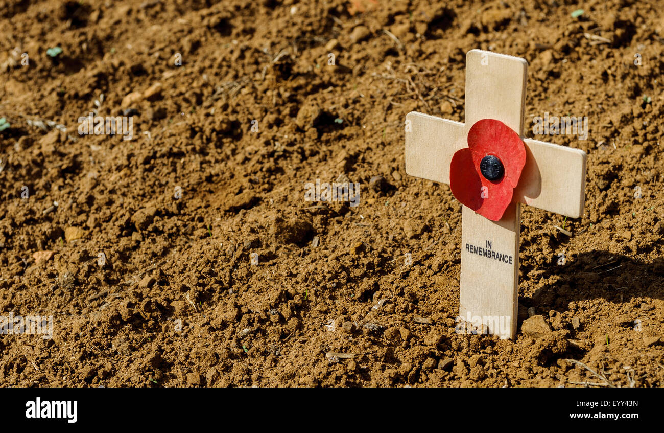 A poppy cross in soil as a sign or remembrance to fallen soldiers Stock ...