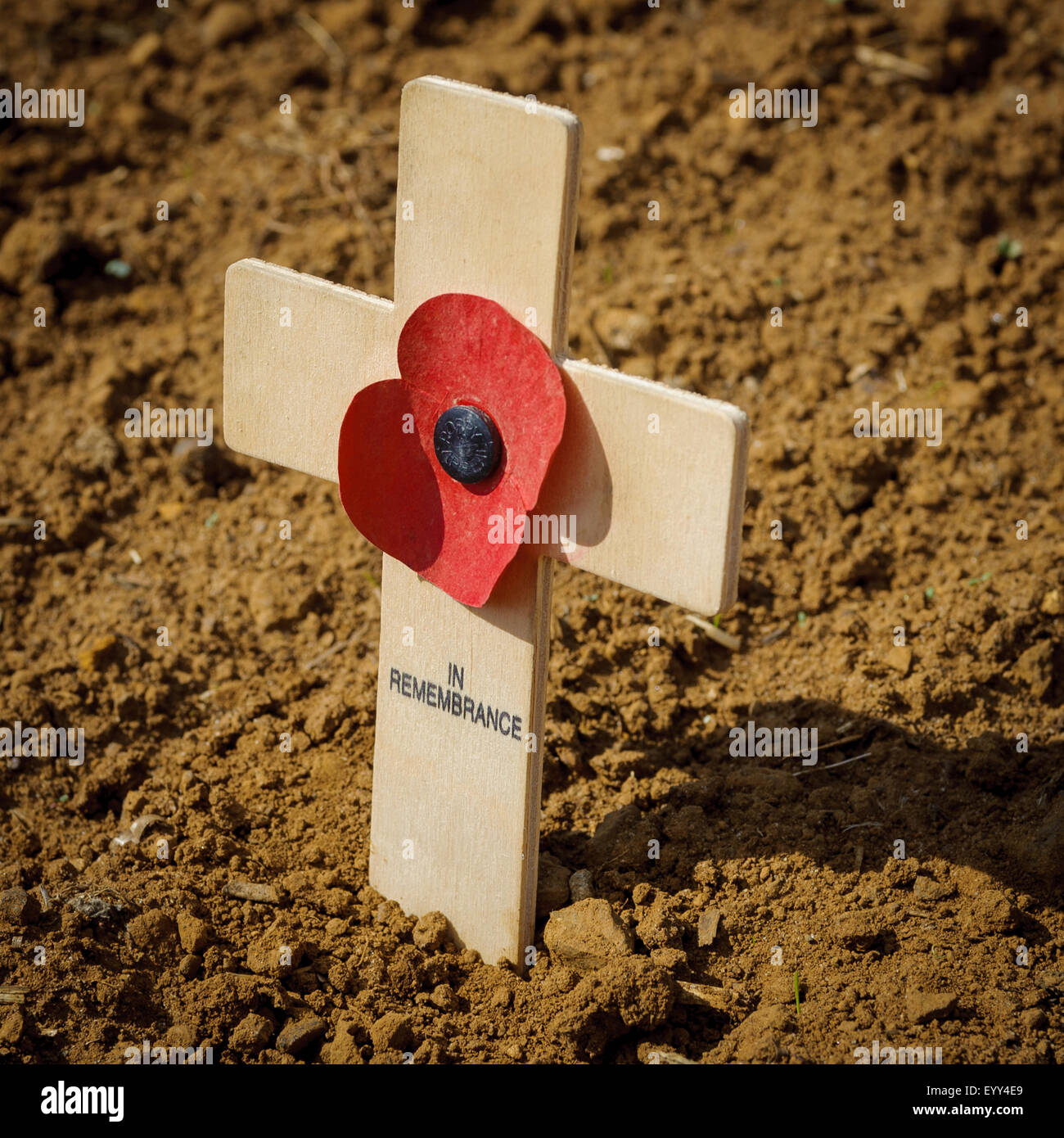 A poppy cross in soil as a sign or remembrance to fallen soldiers Stock ...