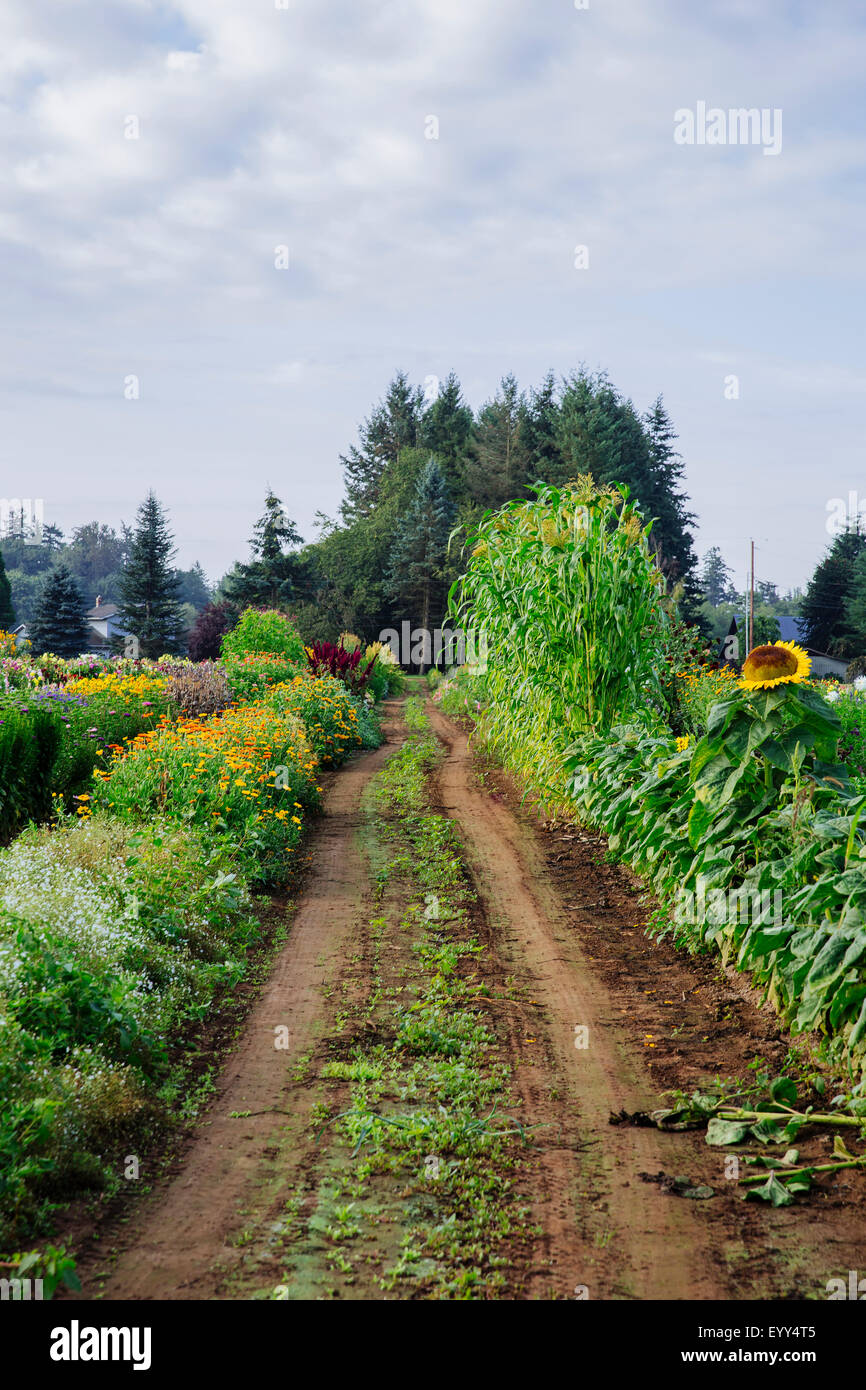 Rural farm fields hi-res stock photography and images - Alamy