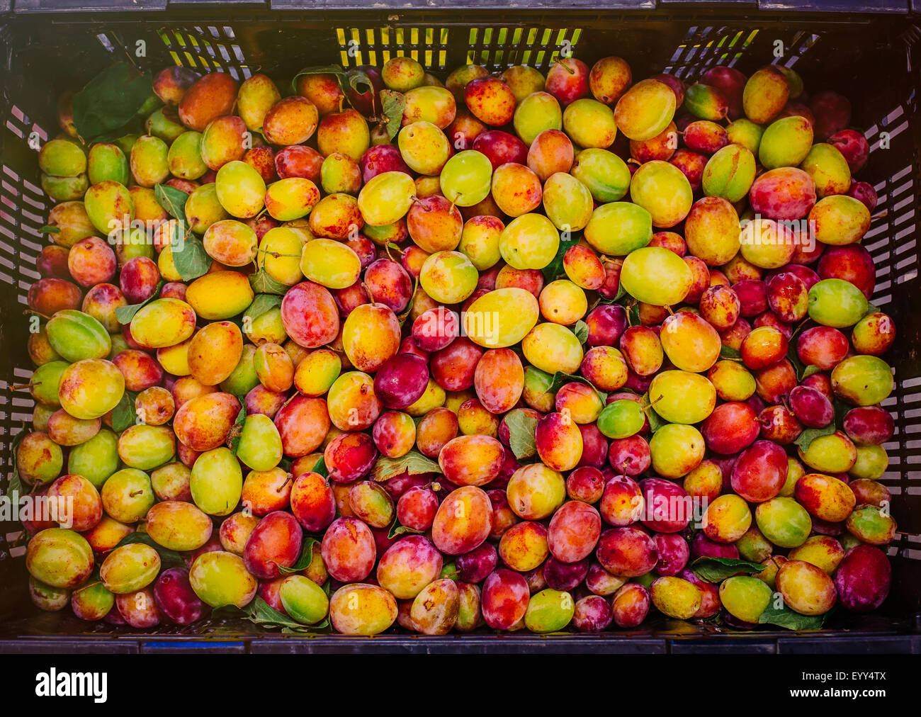Close up of crate of fresh fruit Stock Photo - Alamy
